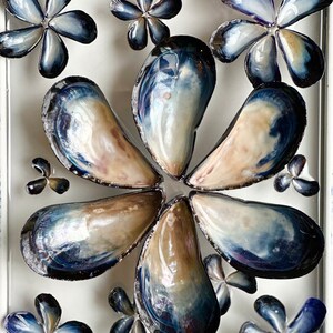 Stunning Mussel Flower Gift - Etsy