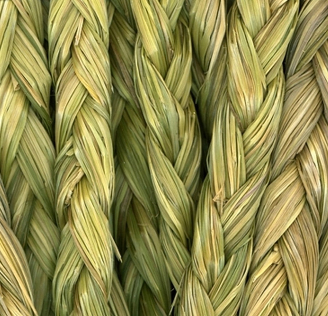 Sweetgrass Braid (12-15 Inches) for Smudging & Energy Clearing - Etsy