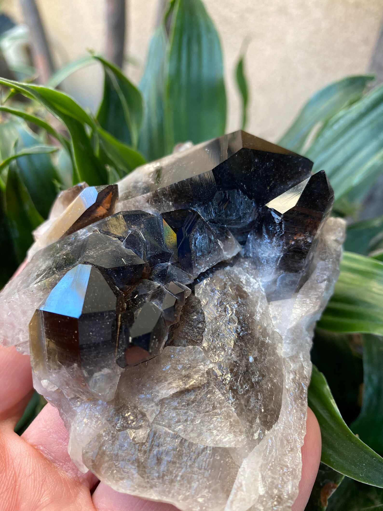 Smoky Quartz Crystal/ Raw Smokey Quartz/quartz/crystal - Etsy