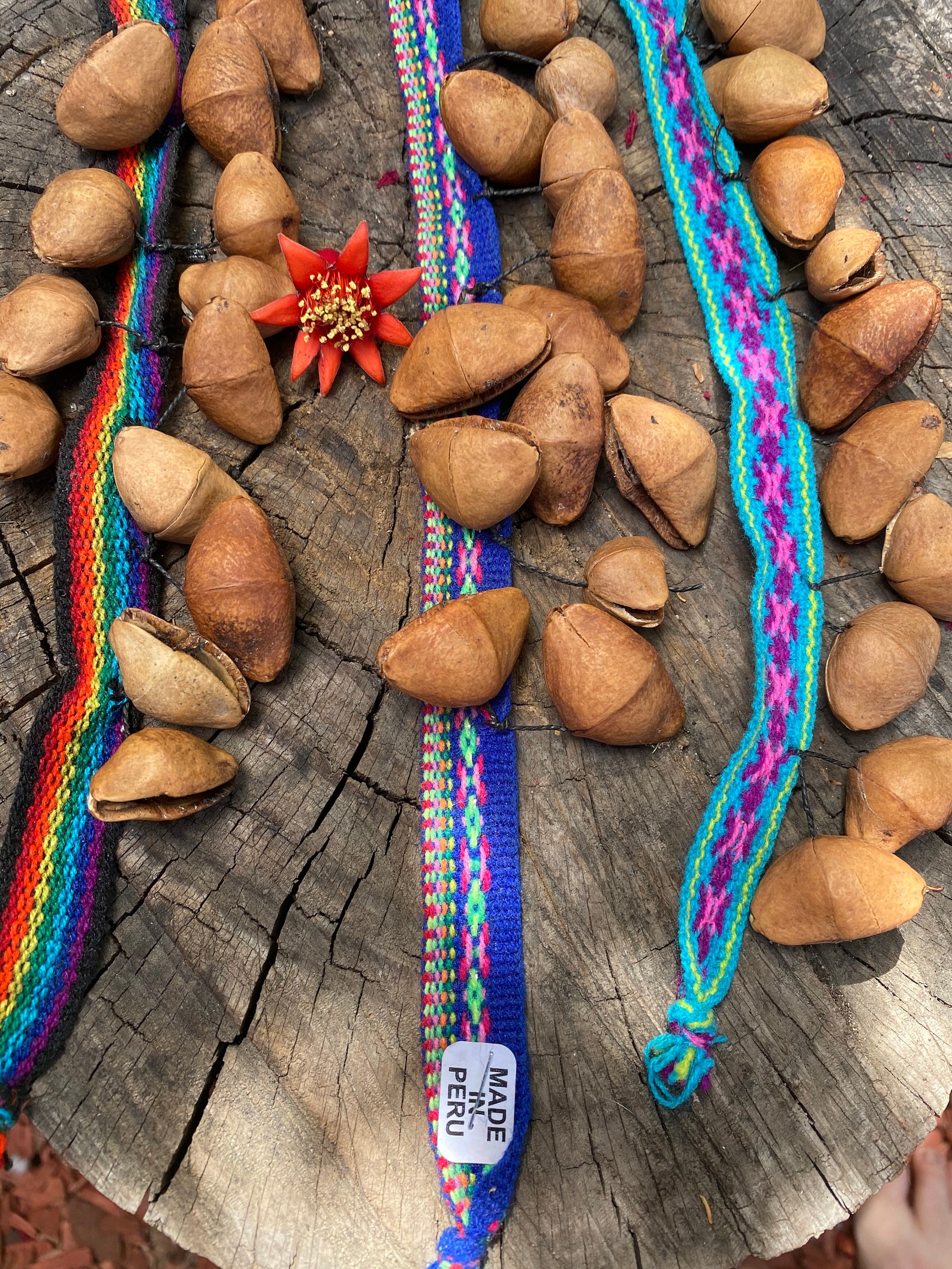 Cacho Seed Rattle Bracelet-anklet/peruvian Seeds/ceremonial/ - Etsy Finland