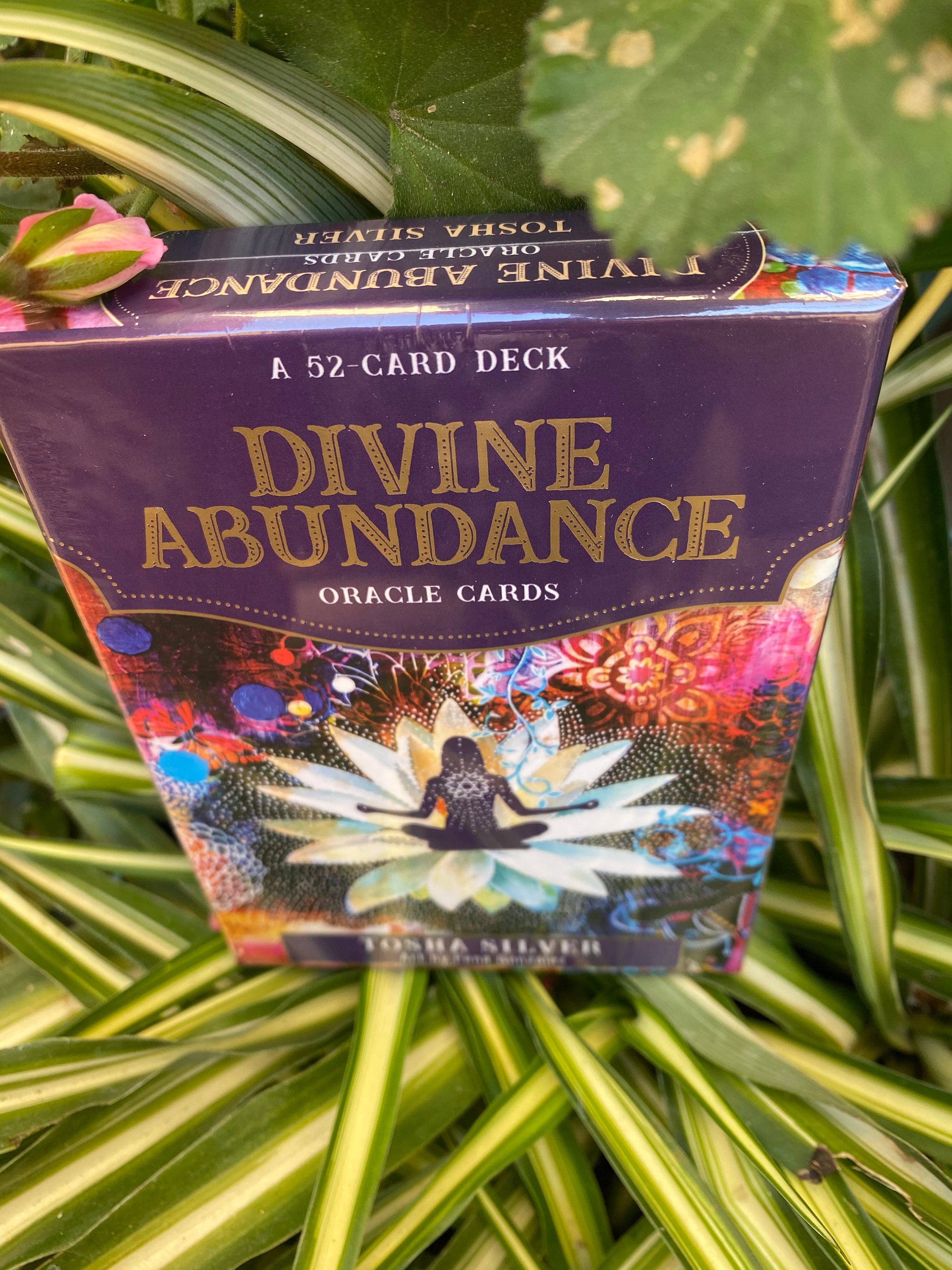 Divine Abundance Oracle Cards/guidance/healing/direction/meditation ...