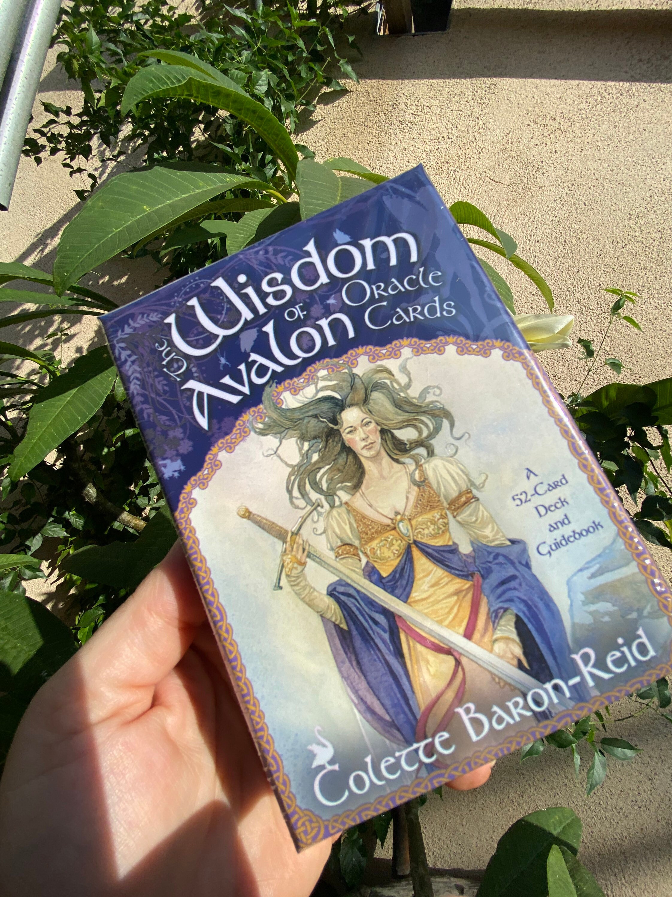Wisdom of Avalon Oracle Cards/ Healing/ Guidance /meditation/ Messages ...
