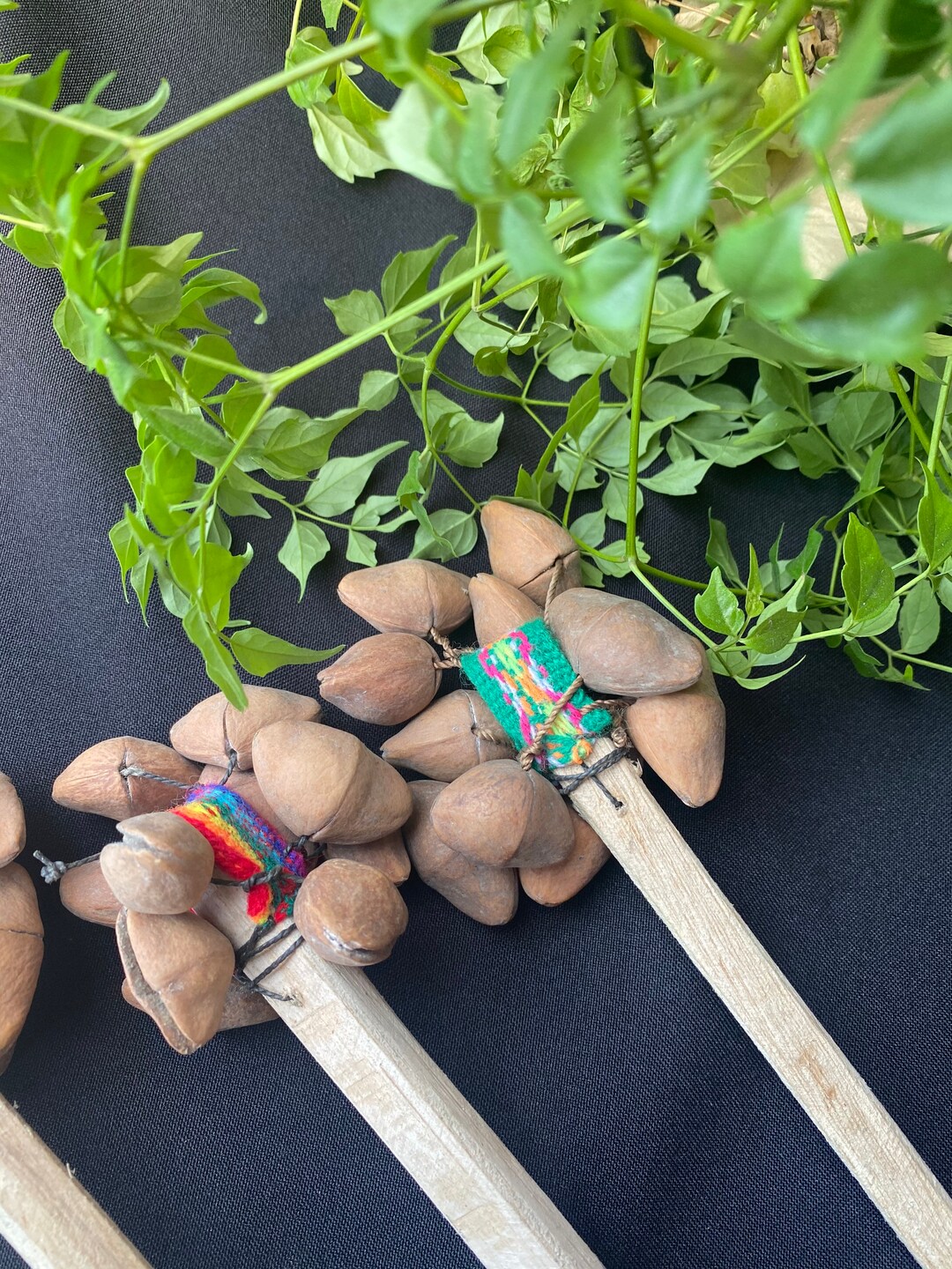 Peruvian Cacho Seed Rattle/ Seed Rattle/peruvian Seed Rattle/ceremony ...