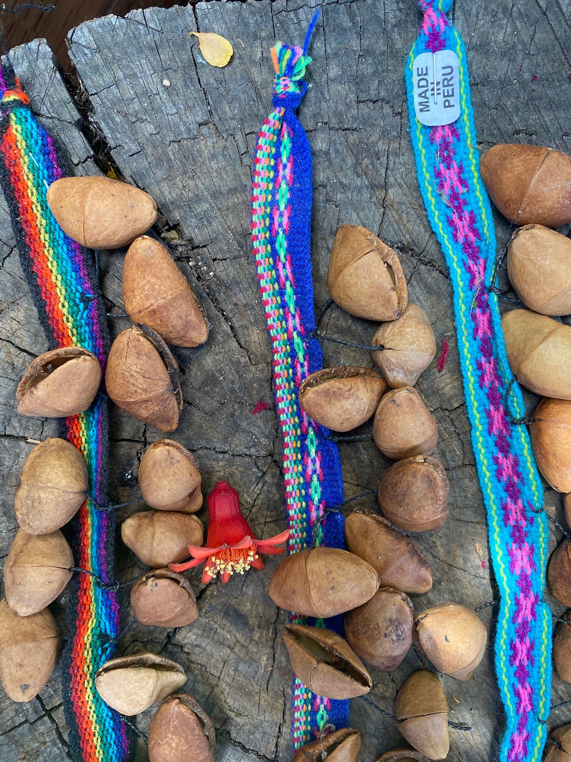 Cacho Seed Rattle Bracelet-anklet/peruvian Seeds/ceremonial/ - Etsy Finland