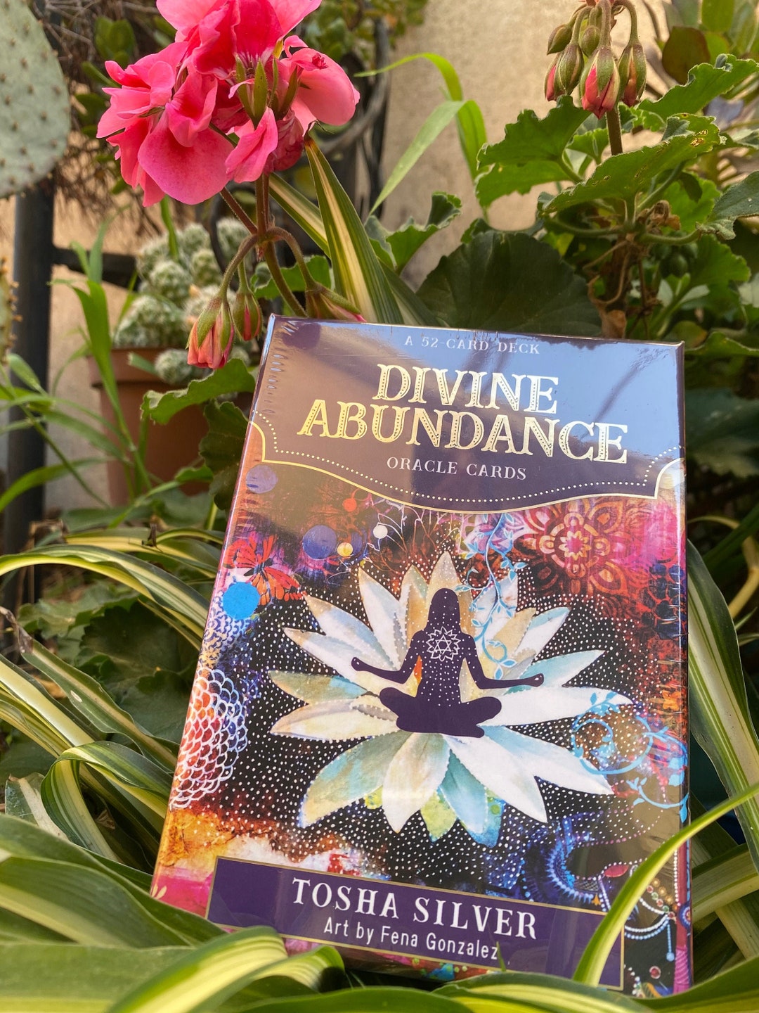 Divine Abundance Oracle Cards/guidance/healing/direction/meditation ...
