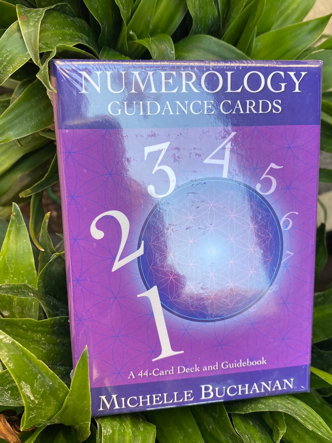 Numerology Guidance Cards/ Healing/ Guidance /meditation/ Numbers Guide ...