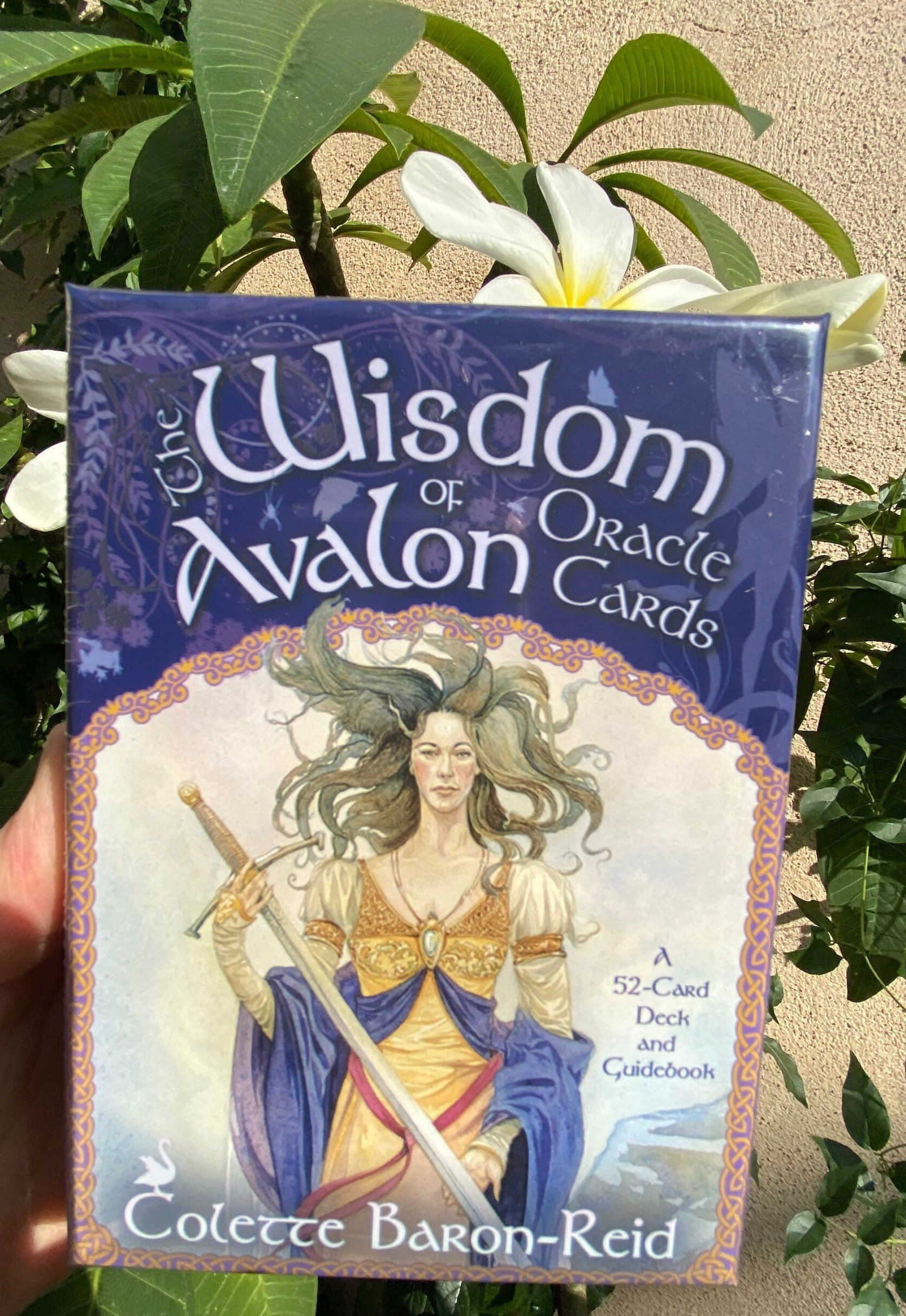 Wisdom of Avalon Oracle Cards/ Healing/ Guidance /meditation/ Messages ...