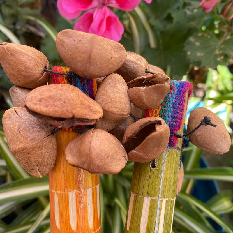 Peru Seeds Rattle - Etsy