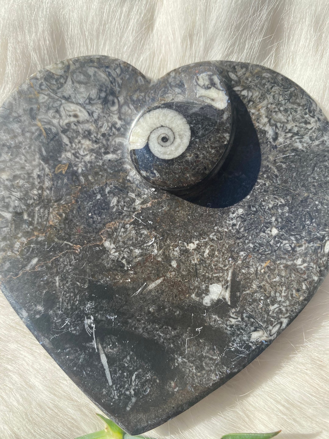 Heart Dish Ammonite/fossil Heatr/ Heart Dish/ Ancient Heart/sacred ...