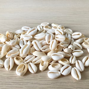 Tiny Little Cowrie Shells || Natural Arts and Crafts || Sea Shells ...