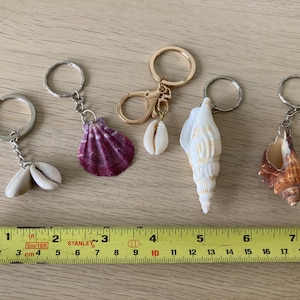 Sea Shell Keyring, Choose Your Shell. Unique Each One is Different. Gift, Environmentally ...