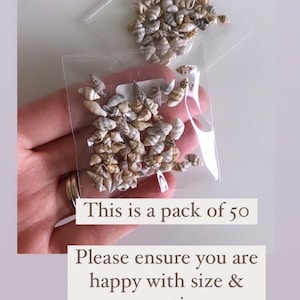 Small Seashell Mix, Tiny Sea Shell Lot, Beach Wedding Decor, Sea Shells ...