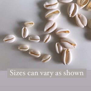 50/100 COWRIE SHELLS Beach Wedding || Natural Arts and Crafts || Sea ...