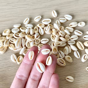 Tiny Little Cowrie Shells || Natural Arts and Crafts || Sea Shells ...