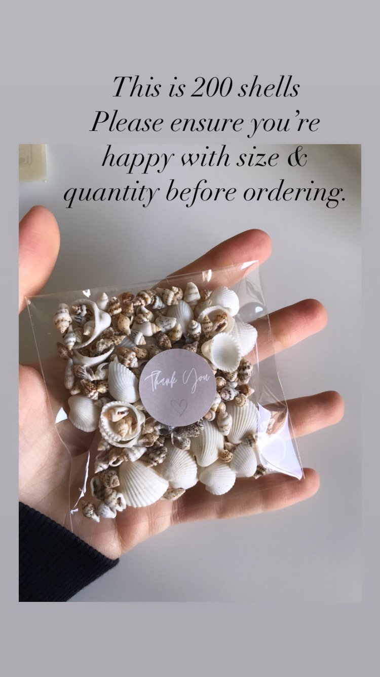 100 SMALL SEASHELLS Mini Sea Shells Craft Wedding Beach - Etsy UK