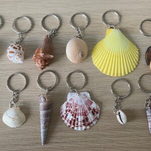 Sea Shell Keyrings Unique Different Quirky Cowrie Shell - Etsy
