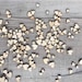 Wooden Confetti Mix Rustic Wedding Table Scatter Decoration - Etsy