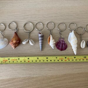 Sea Shell Keyring Choose Your Shell. Unique Each One is - Etsy