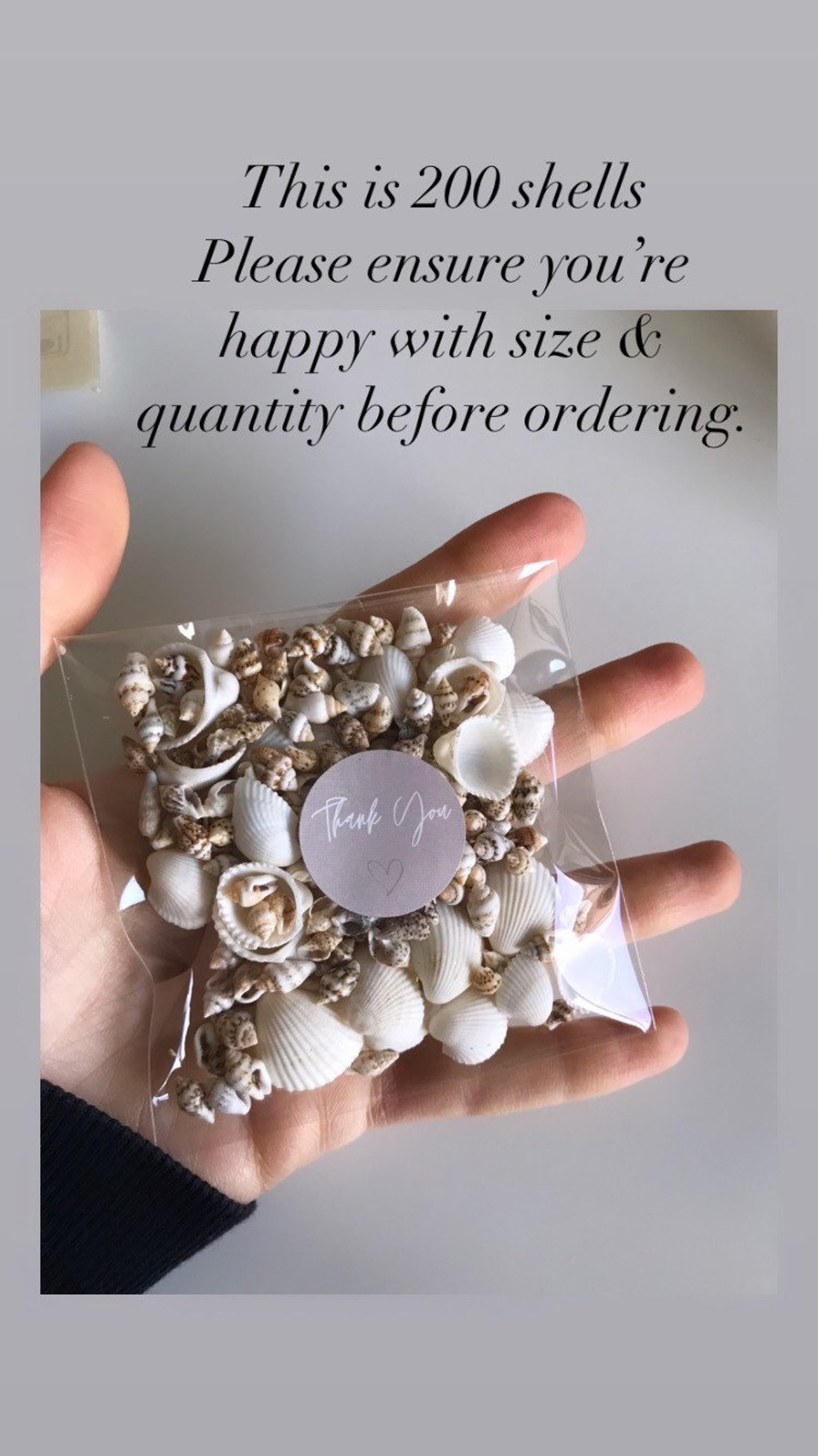 100 MIXED SEASHELLS Tiny Mini Sea Shells Craft Wedding Beach Confetti 7 ...