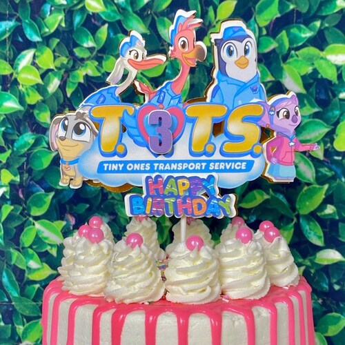 Disney T.O.T.S. Cake Topper Cake Topper Personalized Cake | Etsy