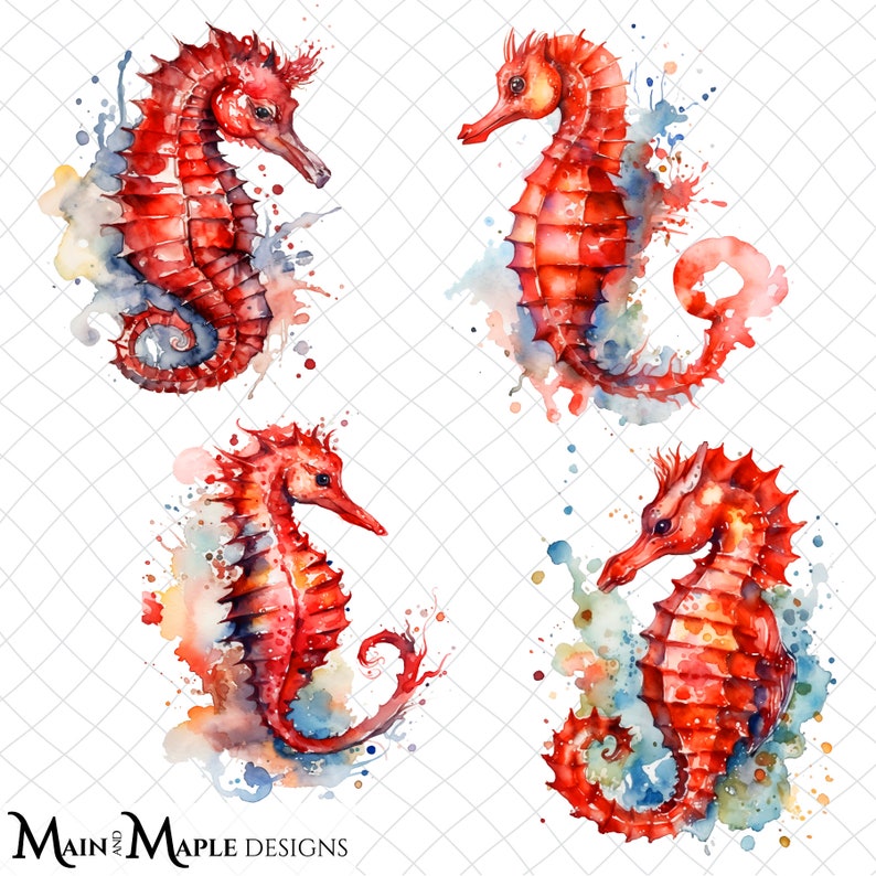 Seahorse Clipart 56 Images Transparent PNG Files Commercial Use Card ...