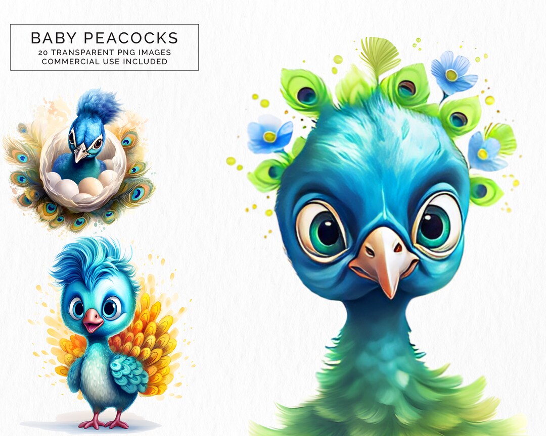 Baby Peacocks Clip Art in Transparent Png Digital Files Including ...