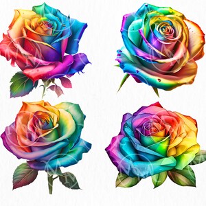 Rainbow Roses Clipart Bundle Transparent PNG Files With Commercial Use ...