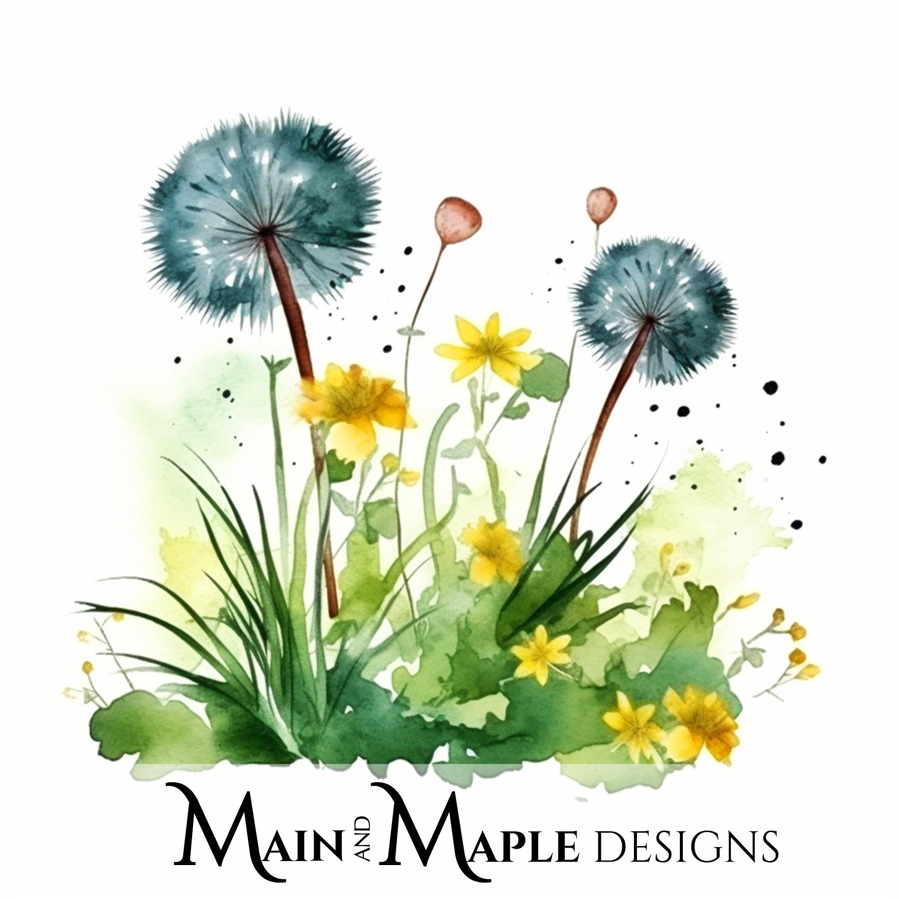 Dandelions Summertime Clipart Watercolor Commercial Use Digital Images ...