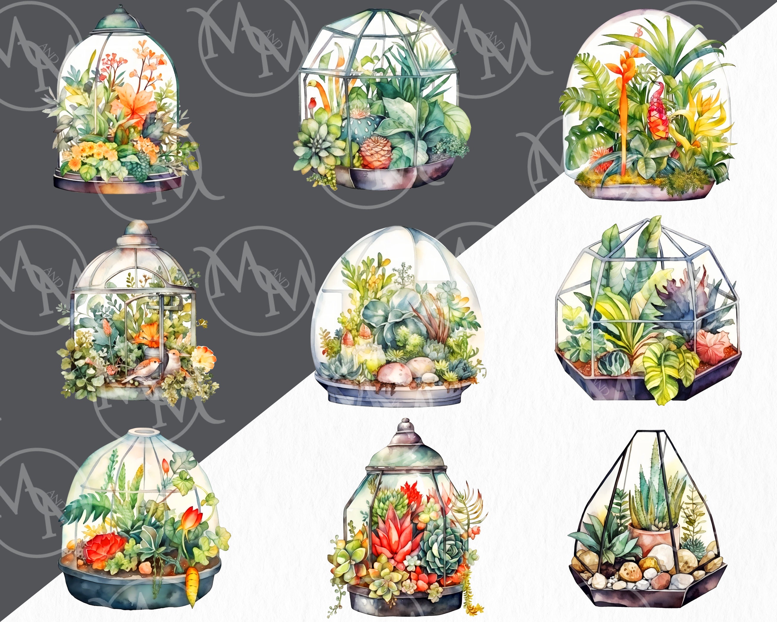 Terrarium Clipart Plant Clip Art Png Digital Watercolor - Etsy