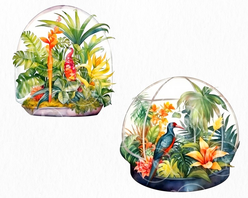 Terrarium Clipart Plant Clip Art Png Digital Watercolor - Etsy