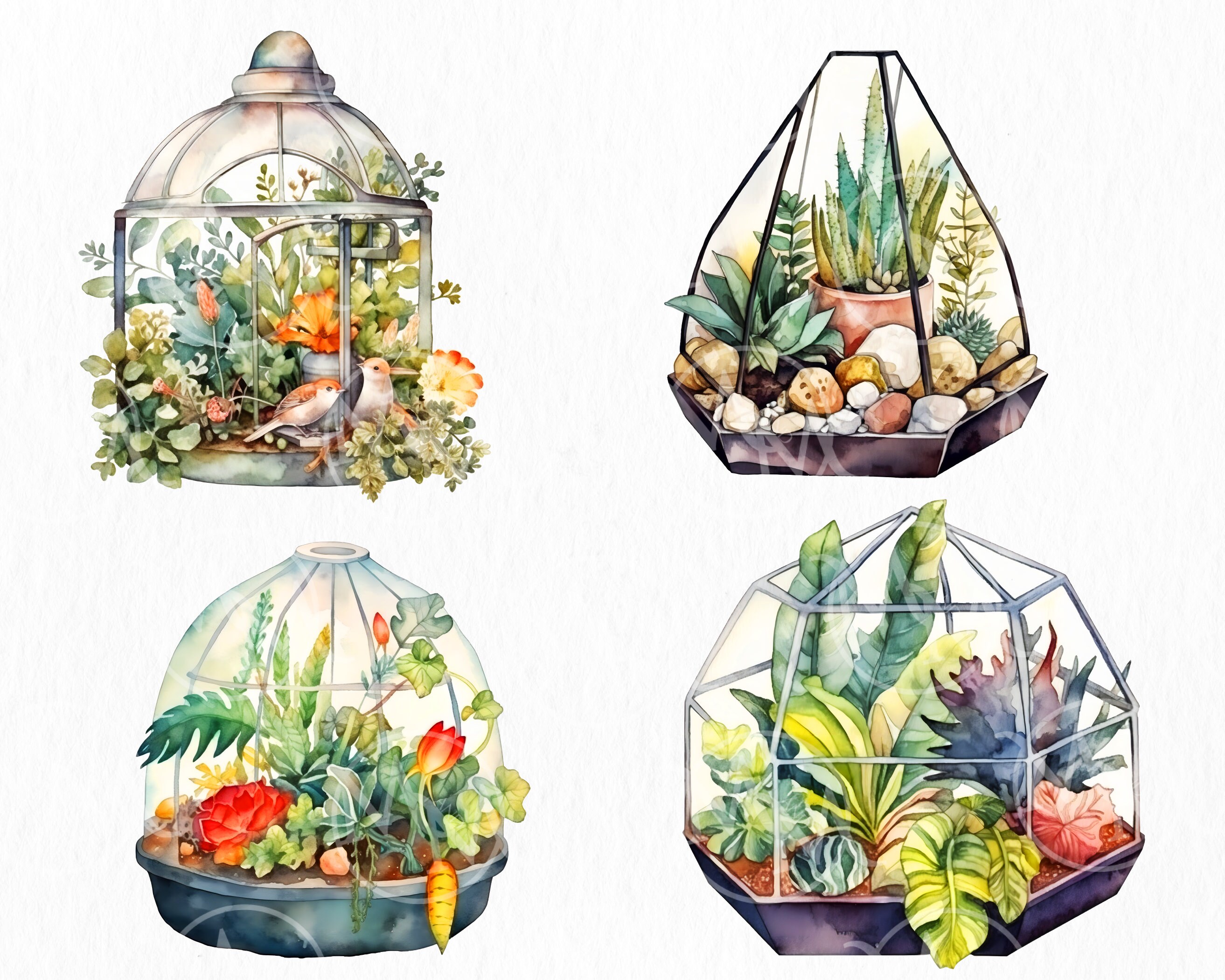 Terrarium Clipart Plant Clip Art Png Digital Watercolor - Etsy