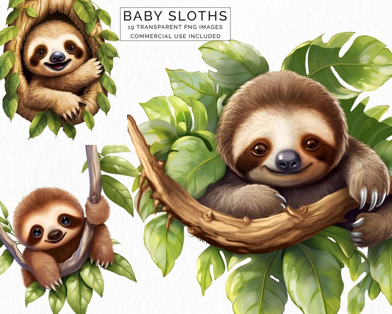 Baby Sloths Clip Art in Transparent Png Digital Files - Etsy
