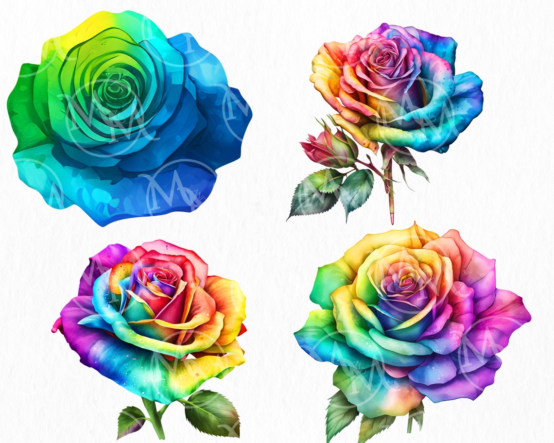 Rainbow Roses Clipart Bundle Transparent PNG Files With Commercial Use ...