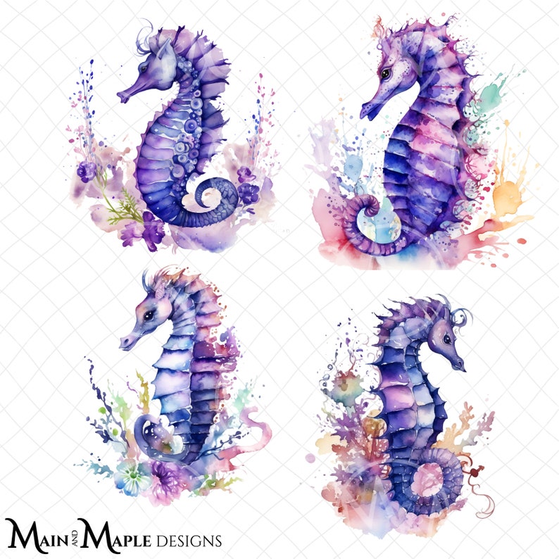Seahorse Clipart 56 Images Transparent PNG Files Commercial Use Card ...