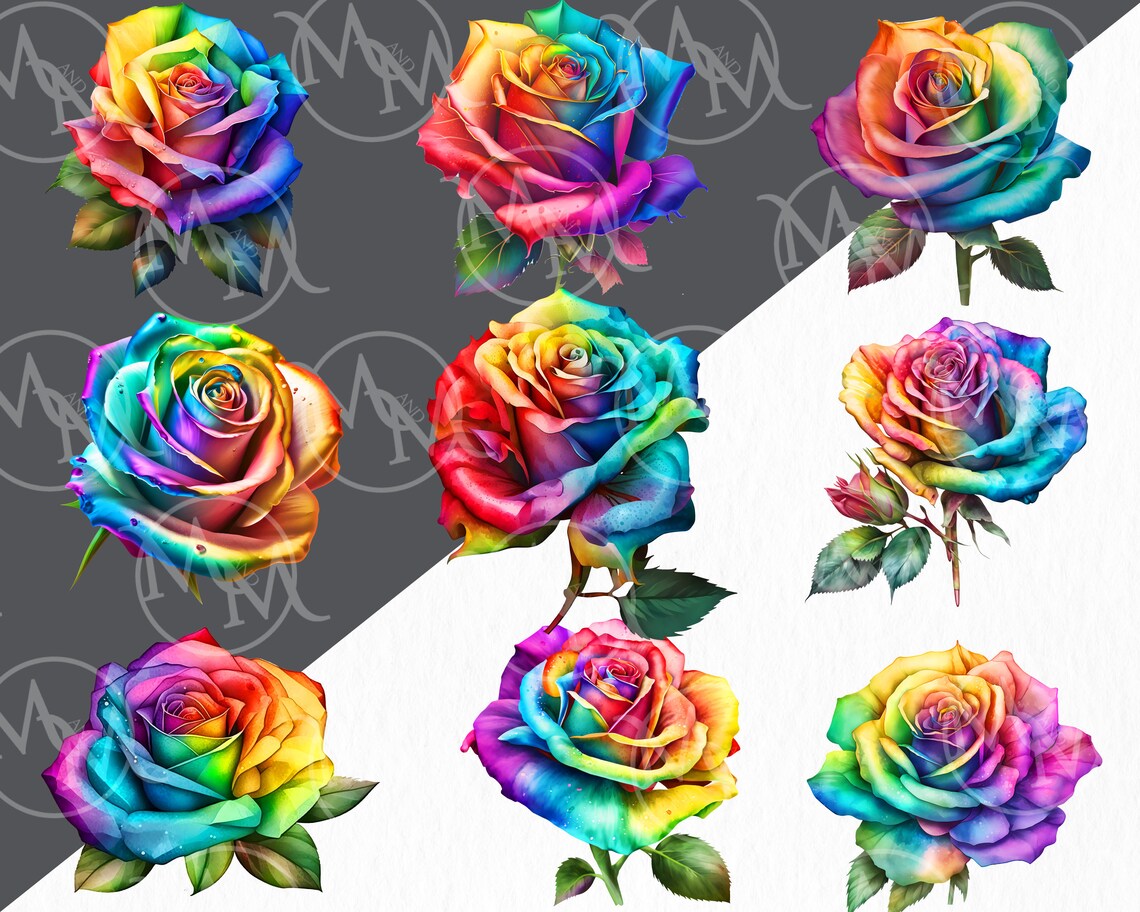 Rainbow Roses Clipart Bundle Transparent PNG Files With Commercial Use ...