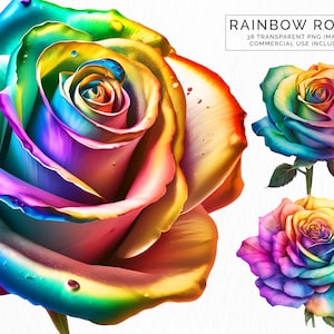 Rainbow Roses Clipart Bundle Transparent PNG Files With Commercial Use ...