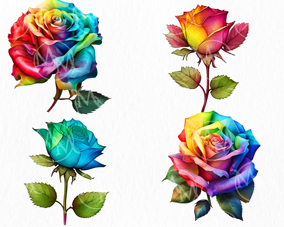 Rainbow Roses Clipart Bundle Transparent PNG Files With Commercial Use ...