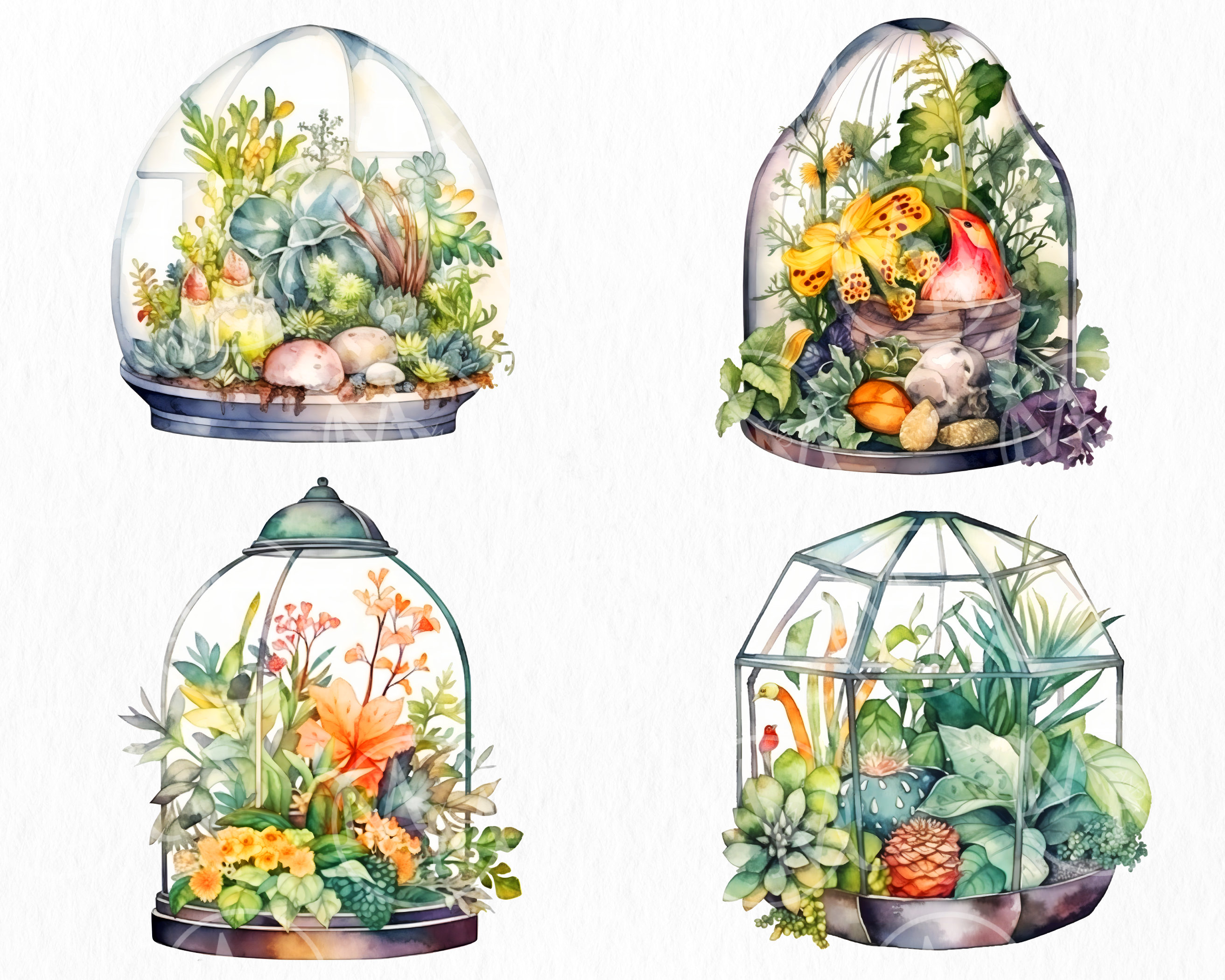 Terrarium Clipart Plant Clip Art Png Digital Watercolor - Etsy