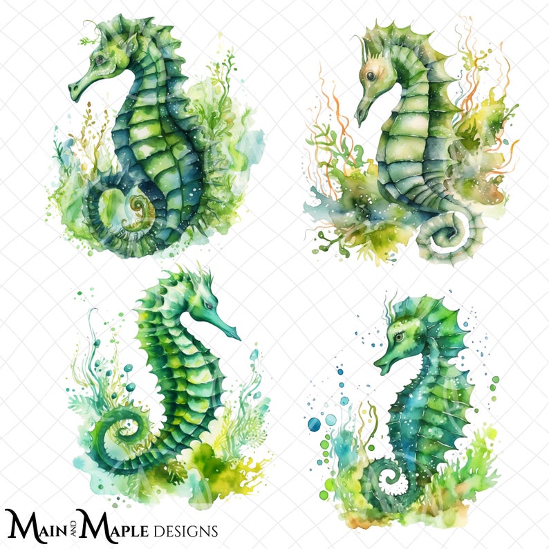 Seahorse Clipart 56 Images Transparent PNG Files Commercial Use Card ...