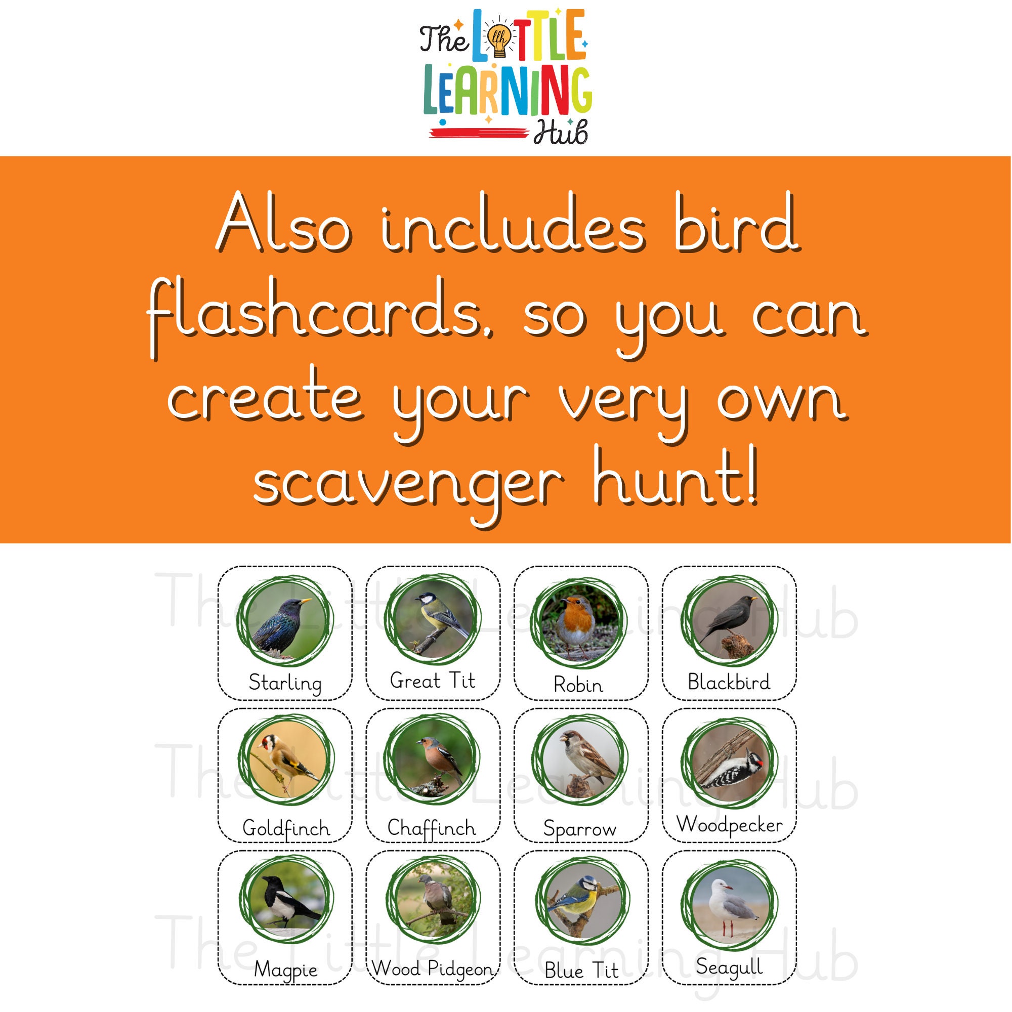 Children's Bird Watching Activity Pack - Etsy
