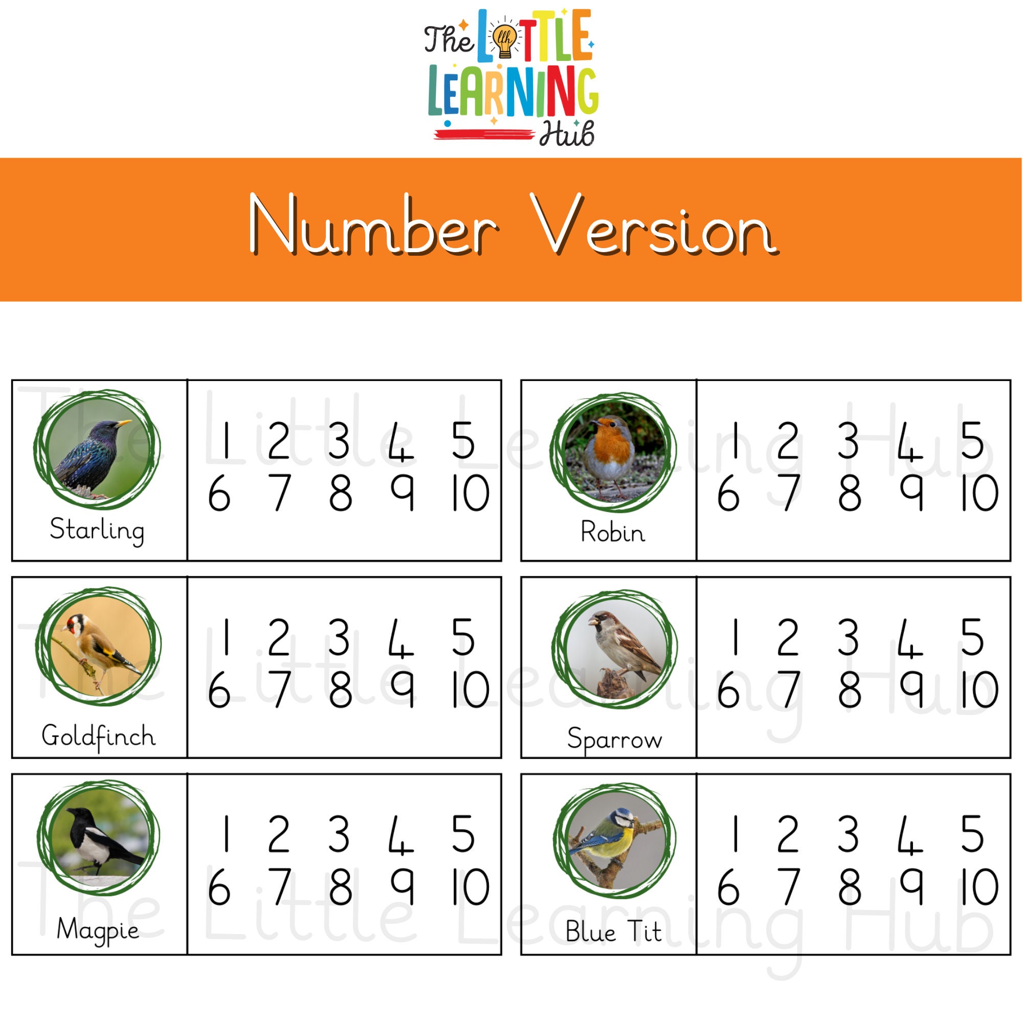 Children's Bird Watching Activity Pack - Etsy