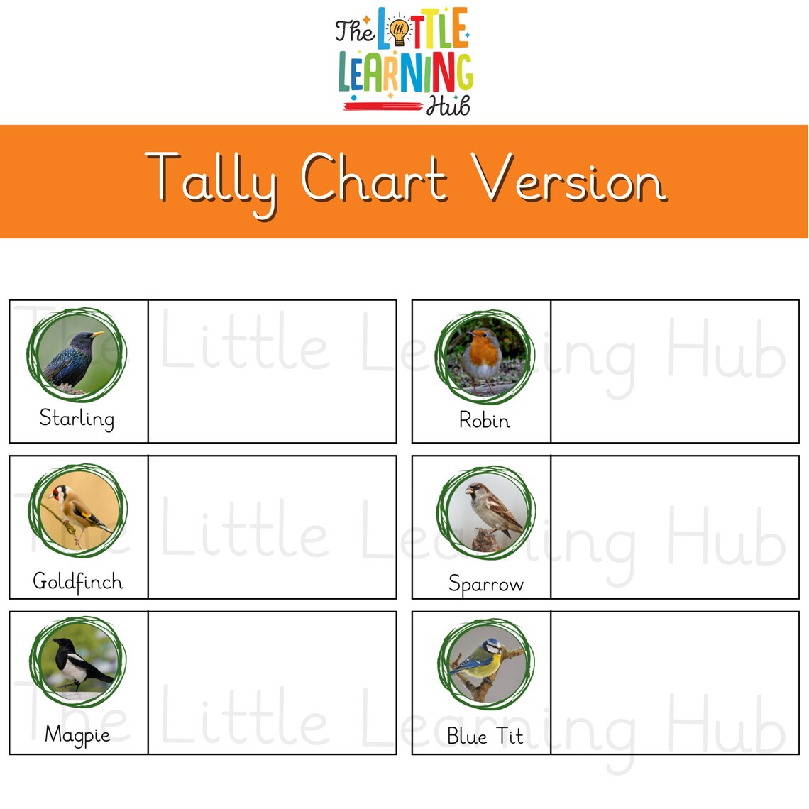 Children's Bird Watching Activity Pack - Etsy