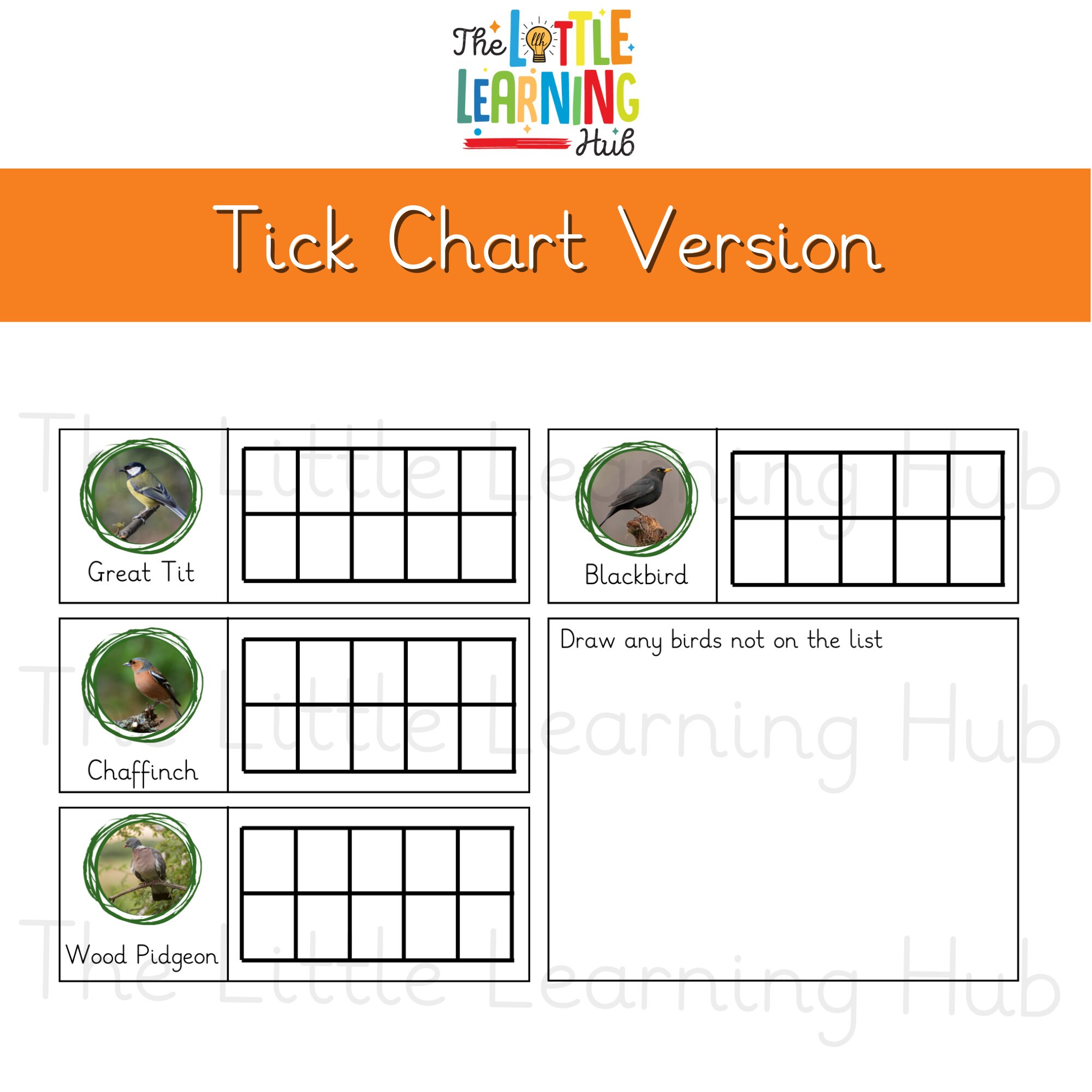 Children's Bird Watching Activity Pack - Etsy