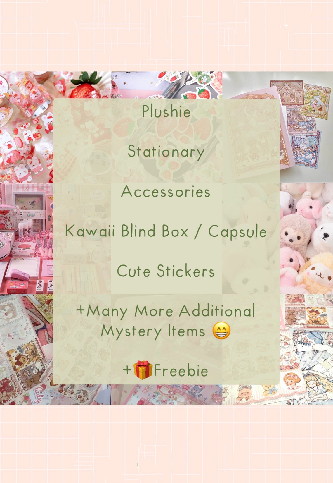 Kawaii Mystery Box kawaii Mystery Plush /cute Mystery Box - Etsy