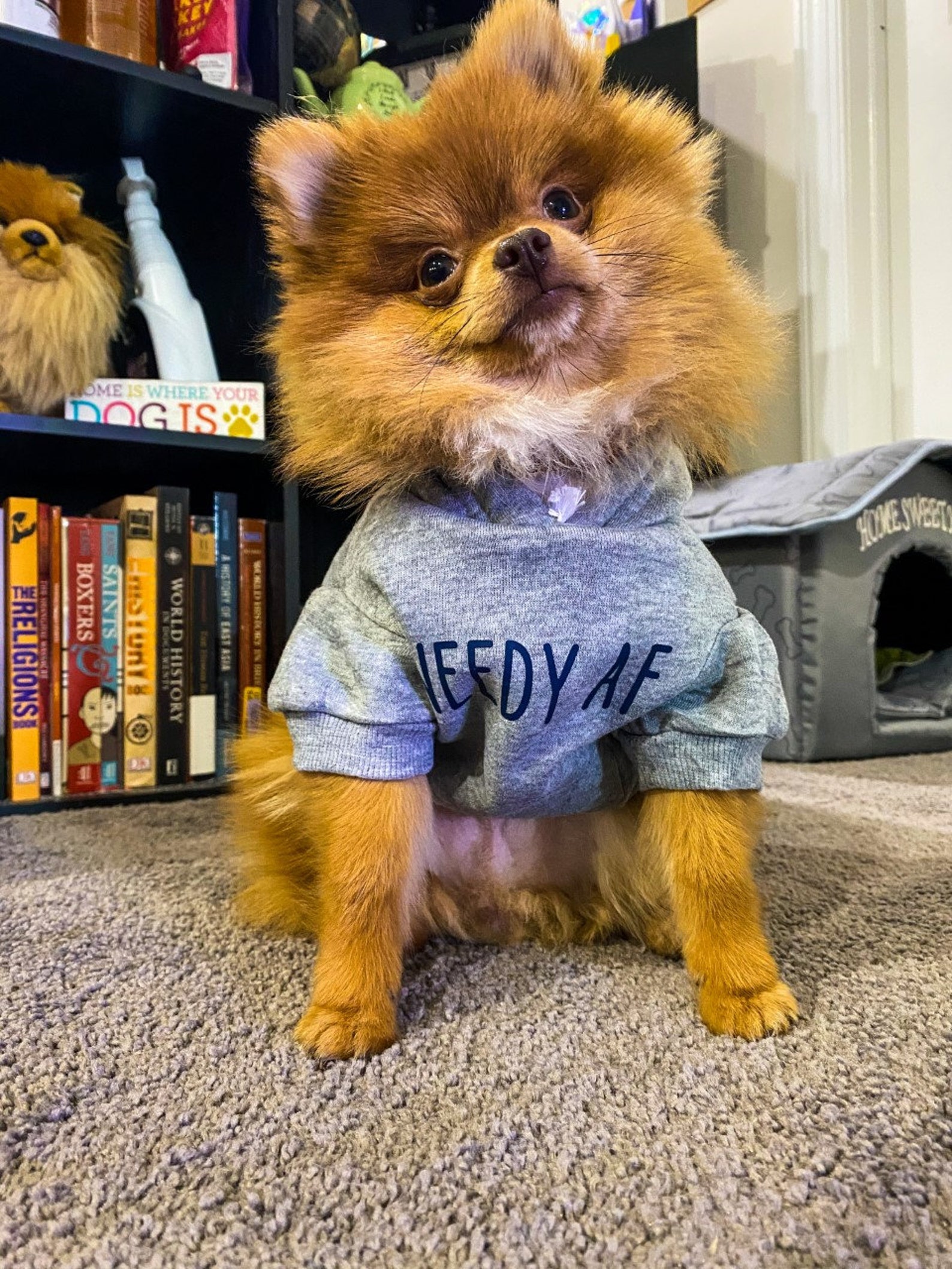 Needy AF Pet Hoodie | Etsy