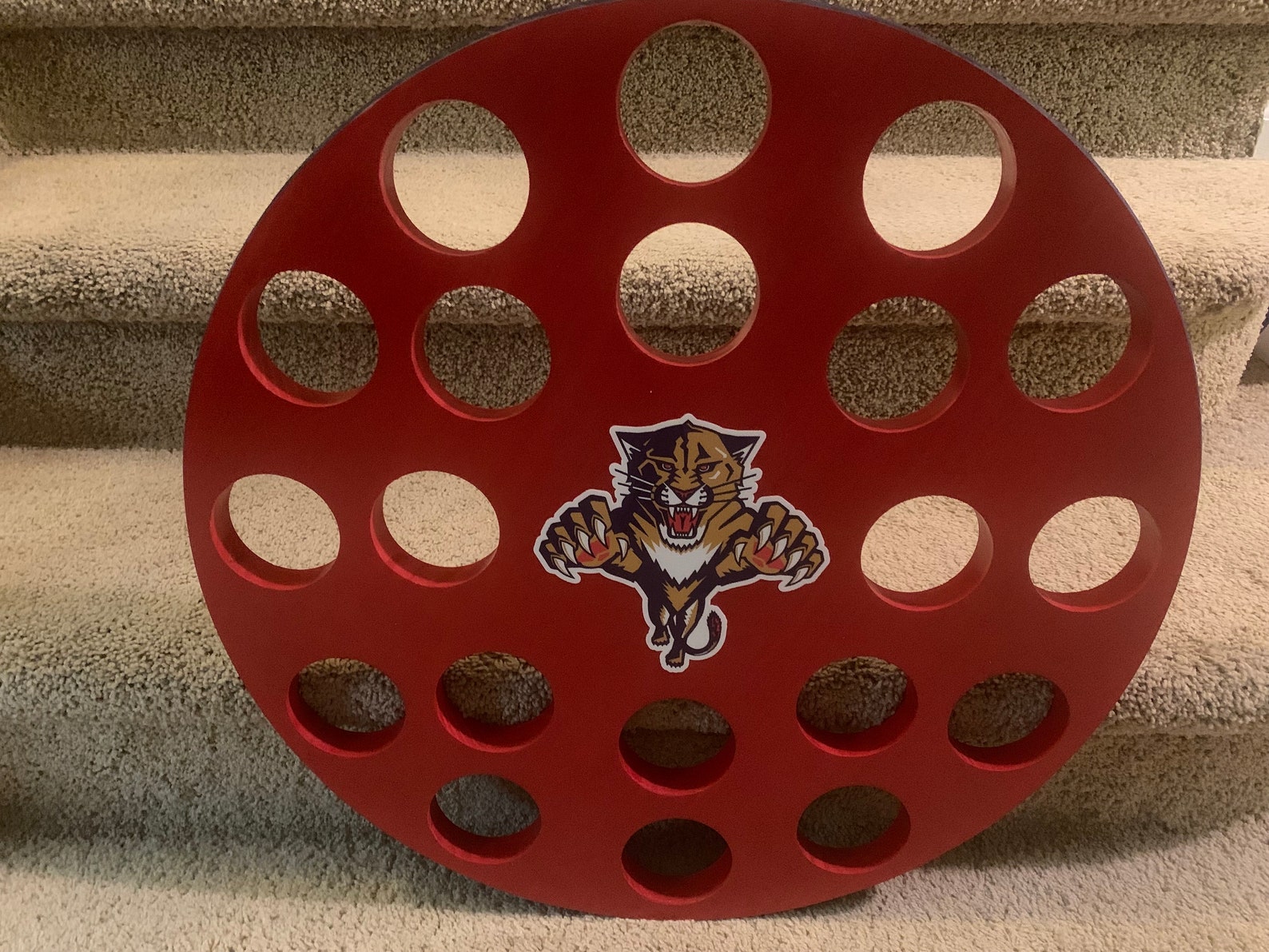 FLORIDA PANTHERS 20 Hockey Puck Wall Hanging Display - Etsy