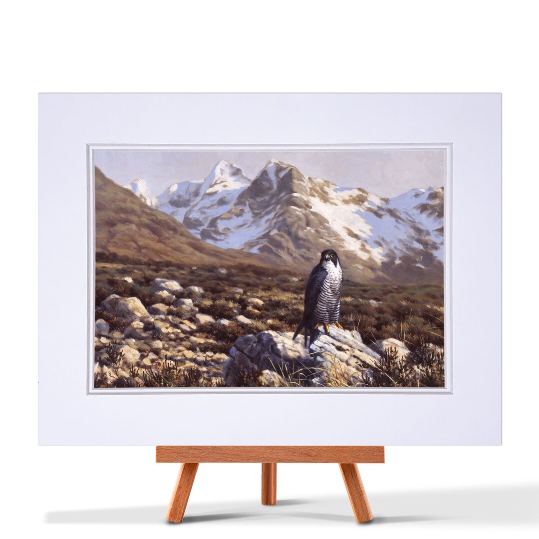 Peregrine Skye Print | Julian Friers - Double Mounted - British ...