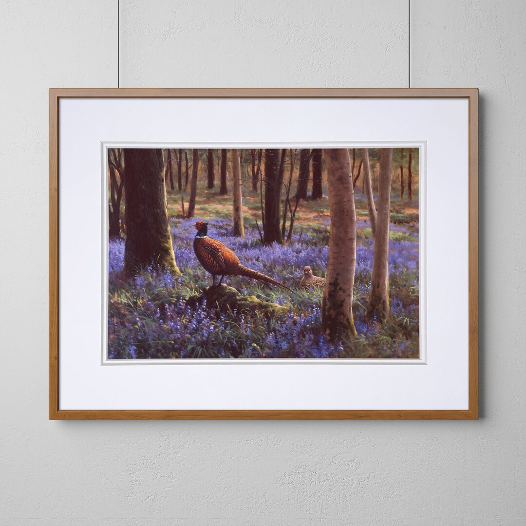 Pheasant Bluebells Print | Julian Friers - Double Mounted - British ...