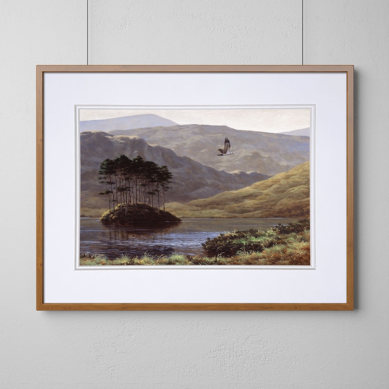 Osprey Bird Print | Julian Friers - Double Mounted - British Wildlife ...