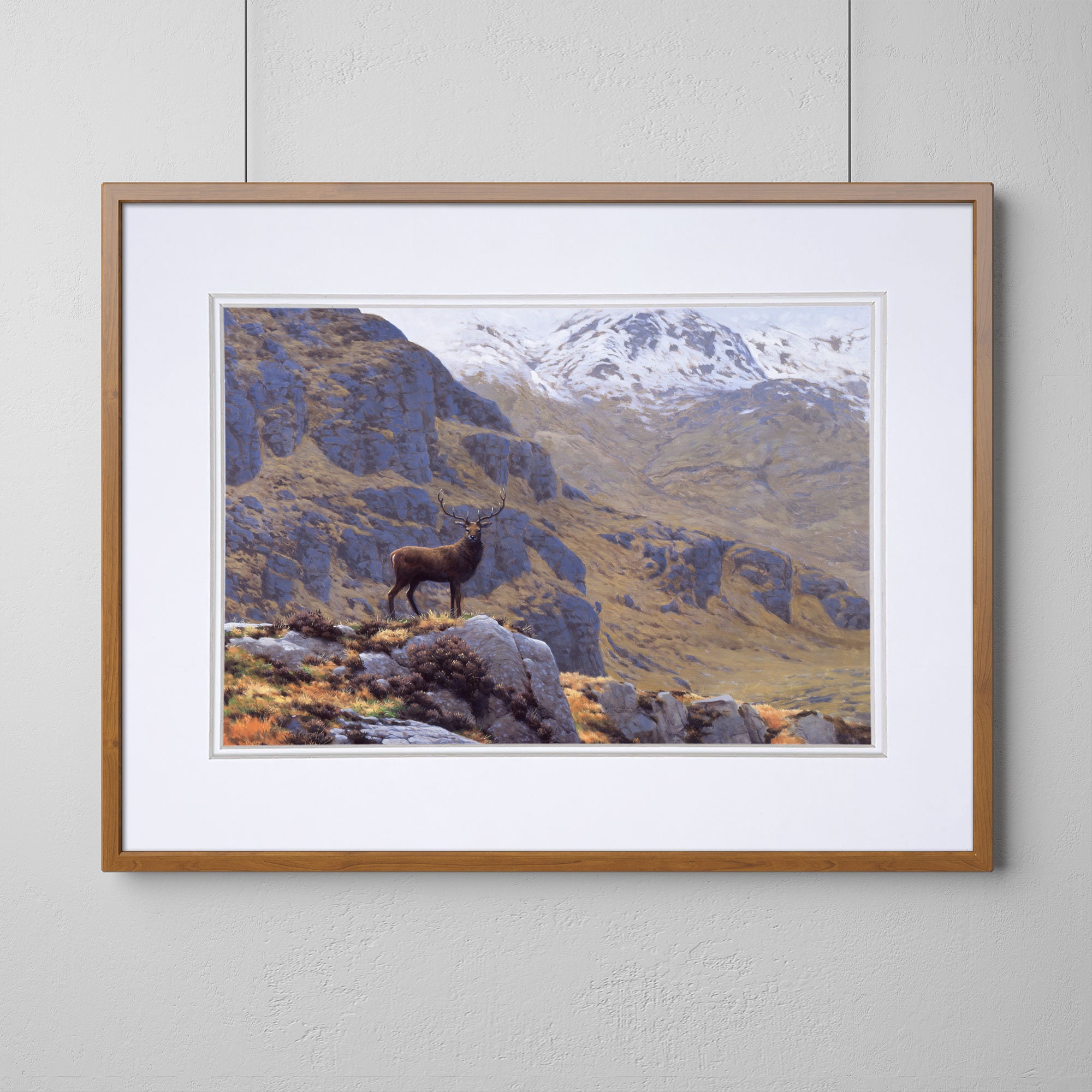 Spring Stag Print | Julian Friers - Double Mounted - British Wildlife ...